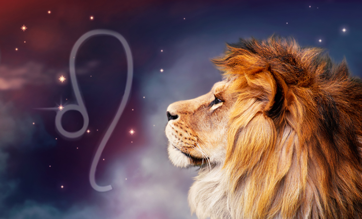 Zodiac Lion 60 Photos Astrologytoyou