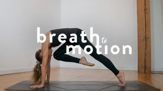 6 Yoga Breathing Exercises + Poses to Breathe Better | YouAligned.com