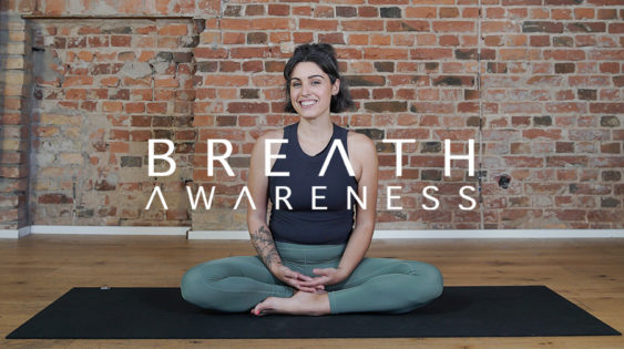 5 Meditation Practices That Will Rework Your Life - PureHealthy.Co