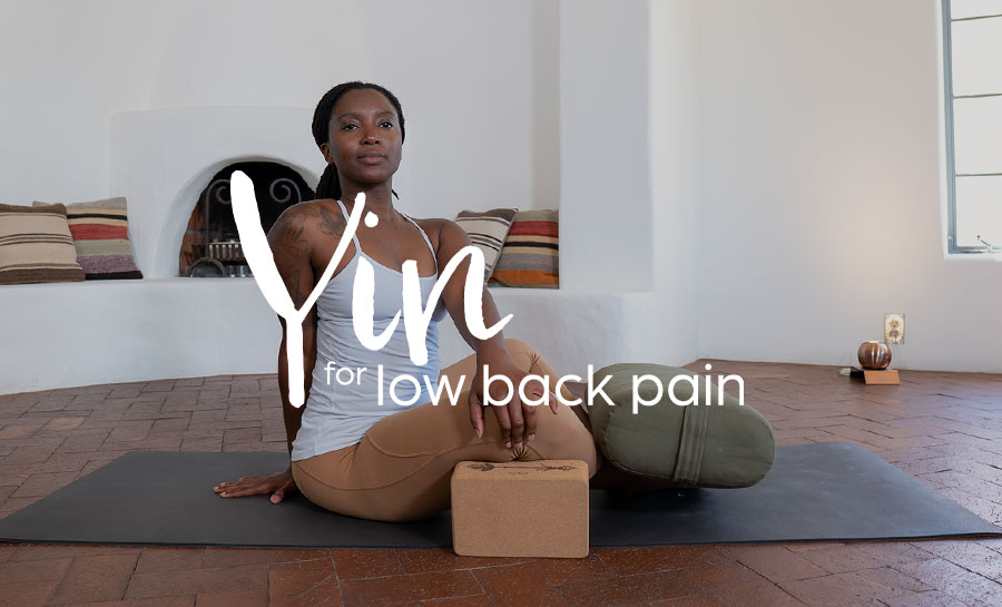 Yin for Low Back Pain with Ashley Limehouse | Yin Yoga Class
